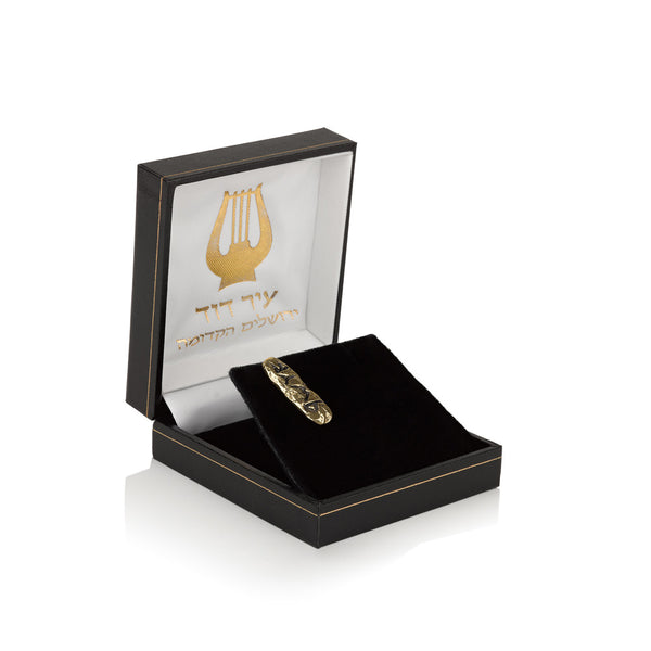 Ancient Hebrew 'Joy' Lapel Pin. - City of David Store